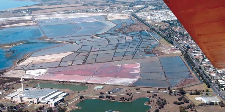 Moolap coastal wetlands - Victorian National Parks AssociationVictorian ...
