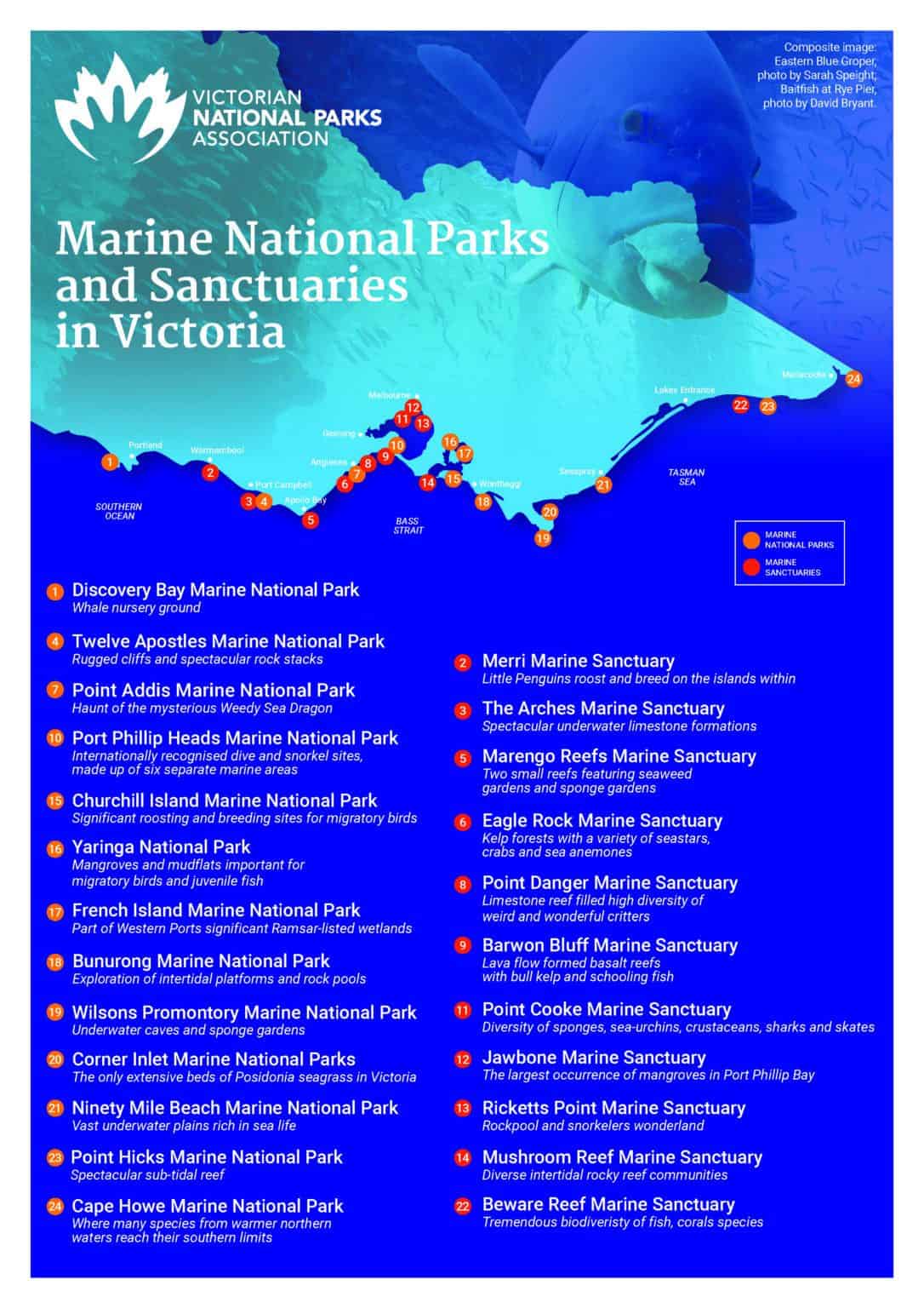 Marine national parks and sanctuaries - Victorian National Parks ...