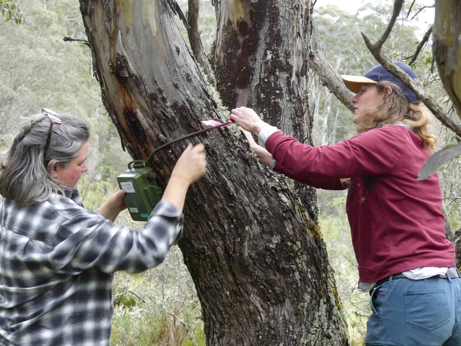 NatureWatch - Victorian National Parks AssociationVictorian National ...