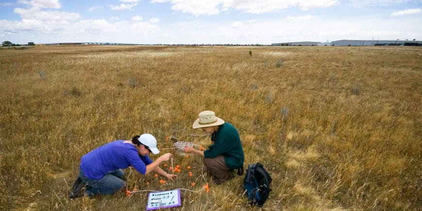 Grasslands-monitoring-banner - Victorian National Parks ...