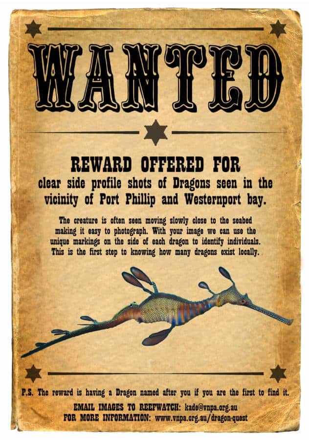 Dragon Quest Wanted Poster - Victorian National Parks ...