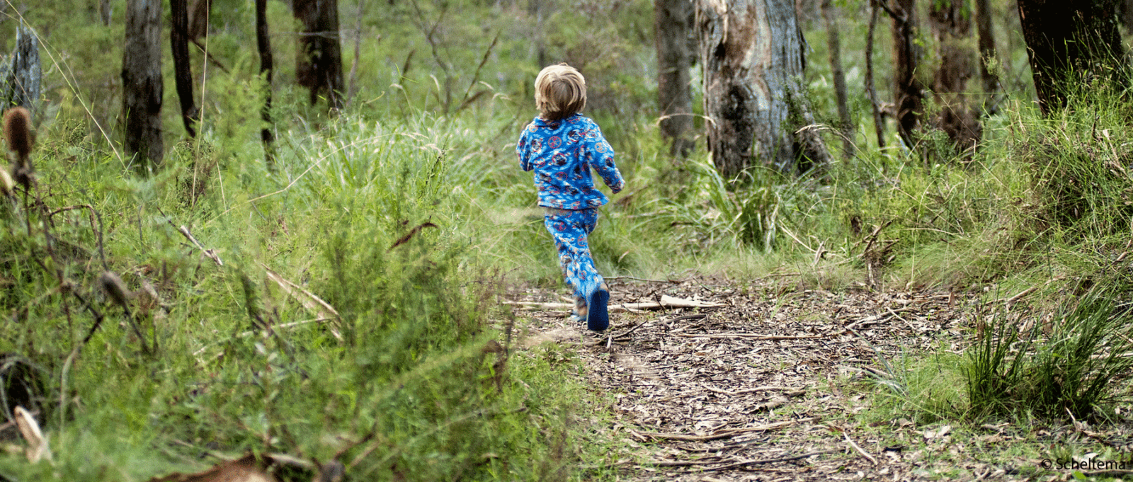 Boy in forest - Victorian National Parks AssociationVictorian National ...