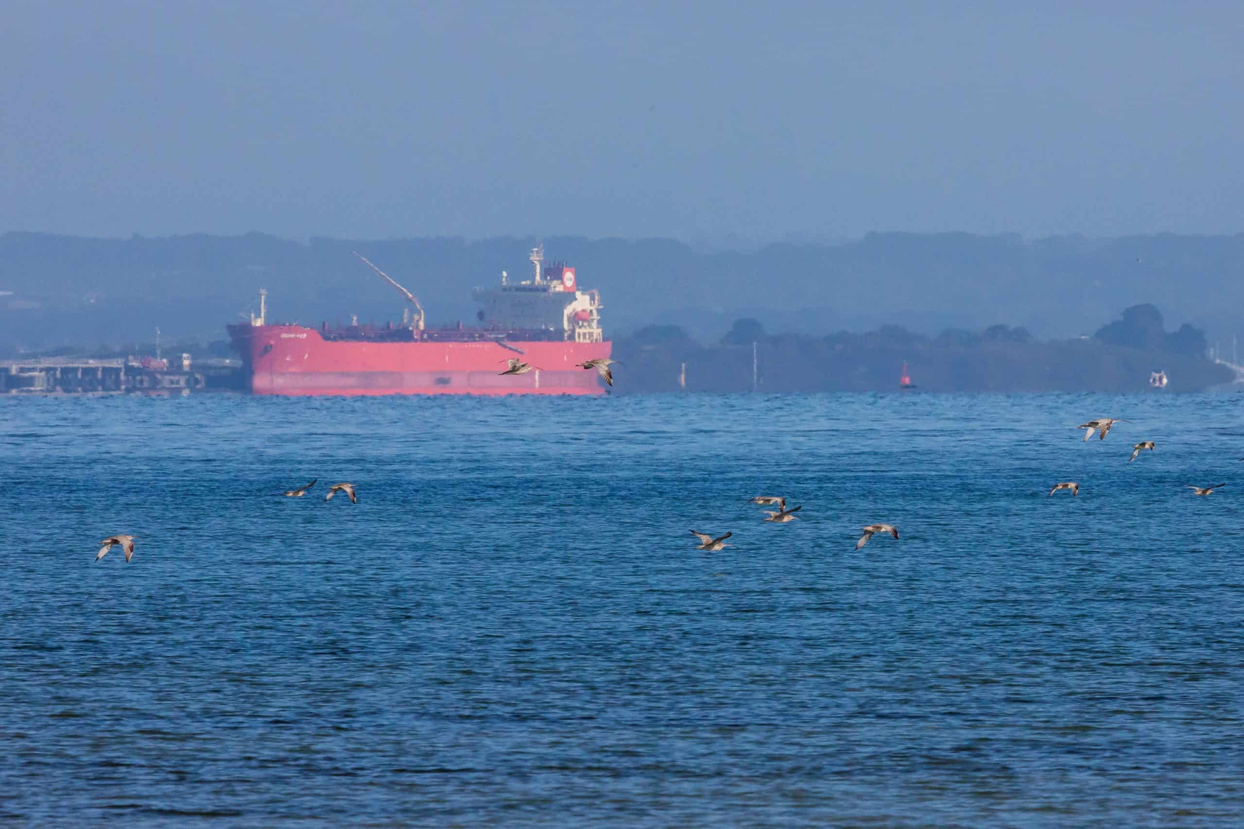 Crib Point is the proposed site for a risky gas terminal. Photo: Andrew ...