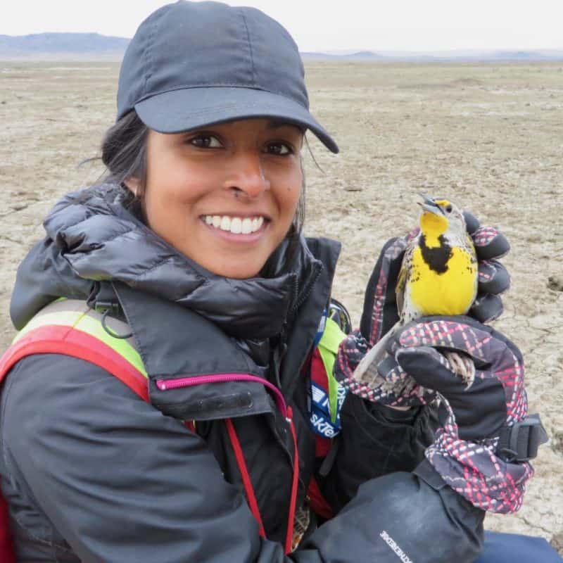 Staff - Victorian National Parks AssociationVictorian National Parks ...