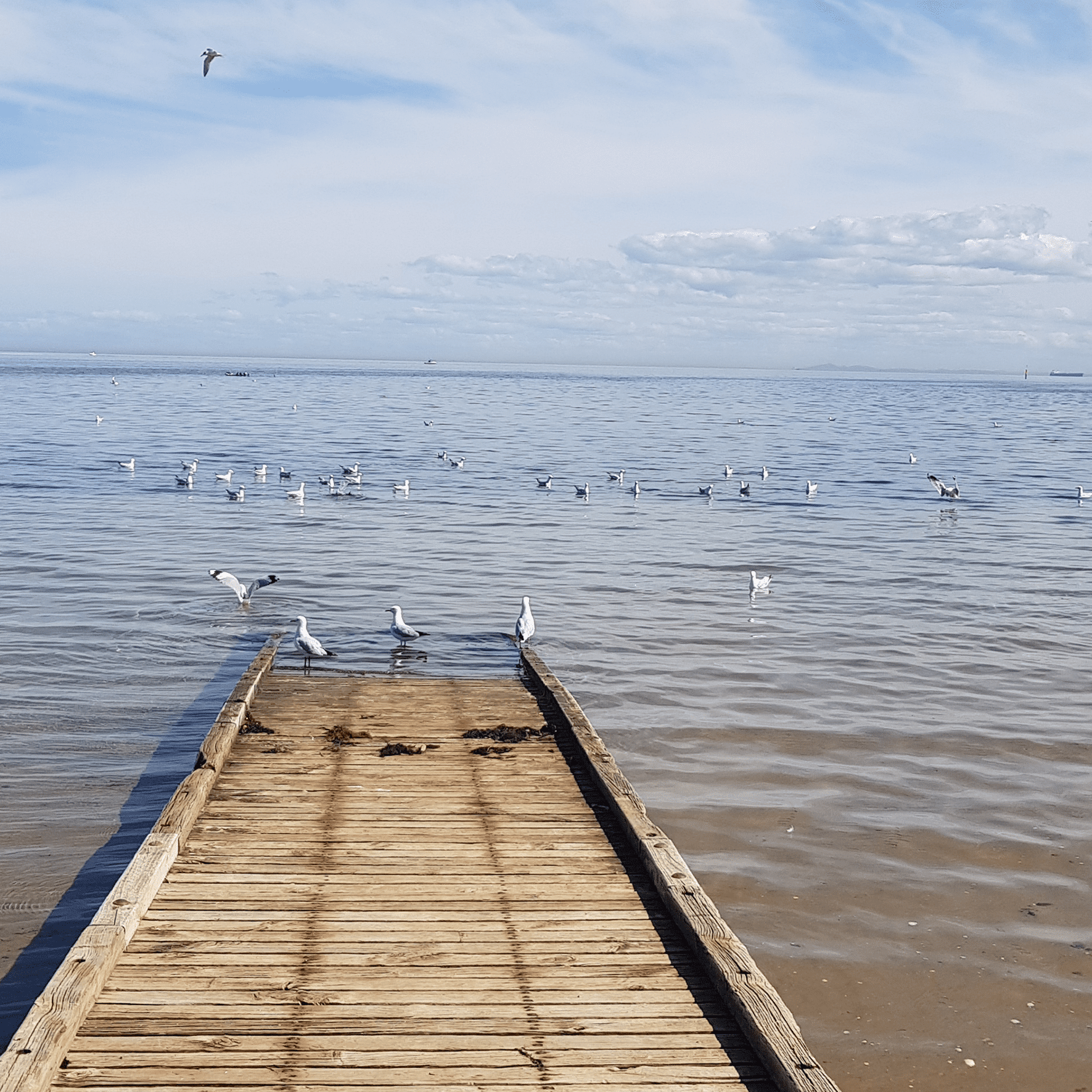 Explore Underwater Victoria - Victorian National Parks ...