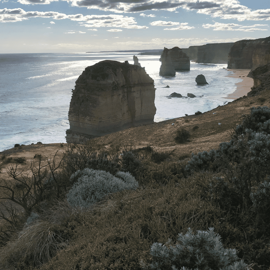 Explore Underwater Victoria - Victorian National Parks ...