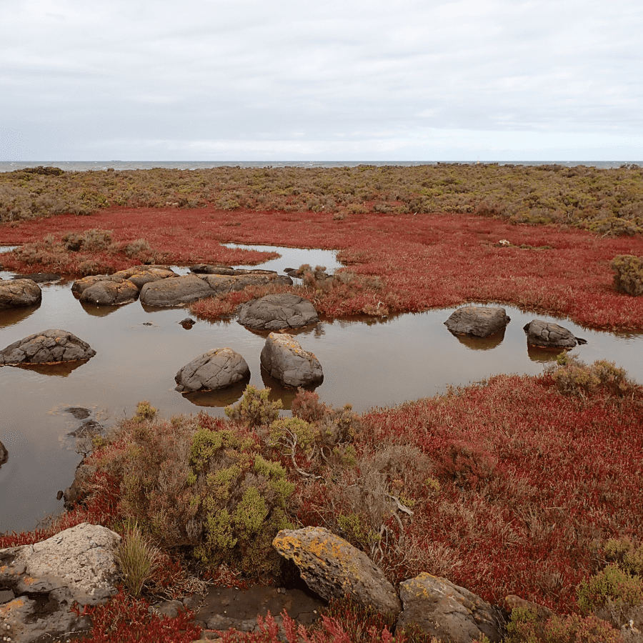 Explore Underwater Victoria - Victorian National Parks ...