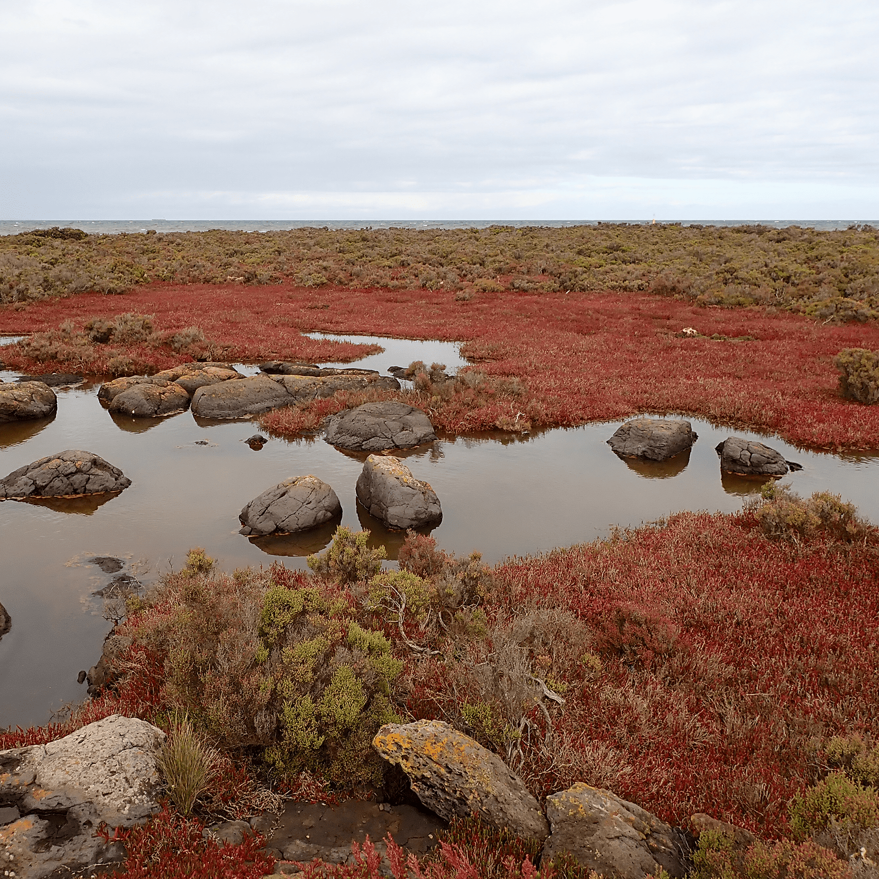 Explore Underwater Victoria - Victorian National Parks ...