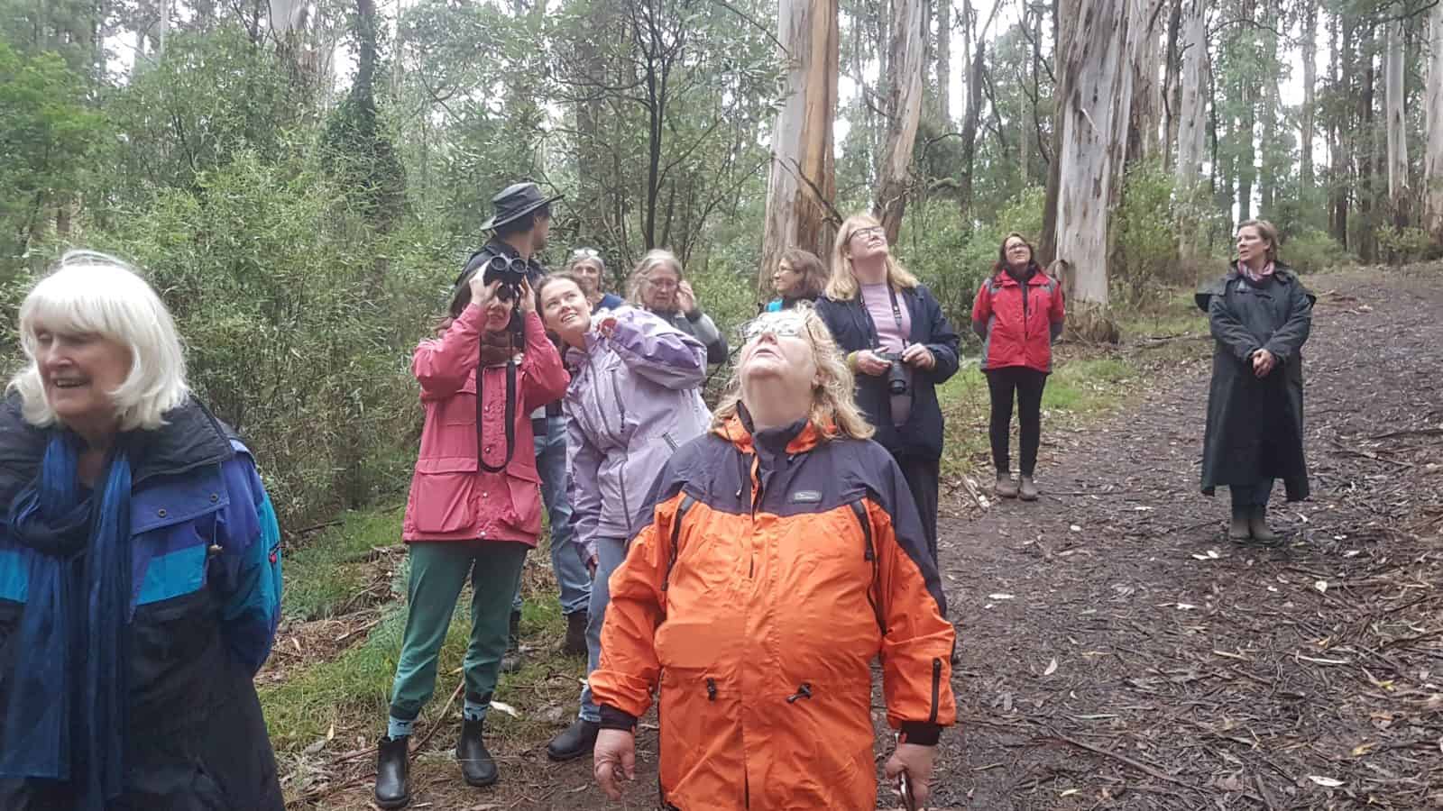 Nature Stewards - Victorian National Parks AssociationVictorian ...