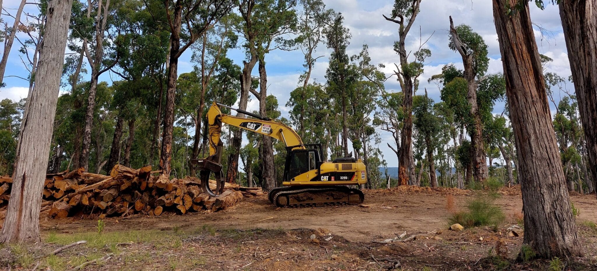 Rogue logging our special places - Victorian National Parks ...