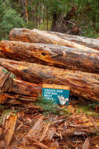 Cobaw Ranges – habitat log piles sit ready for collection. Photo – Ben ...