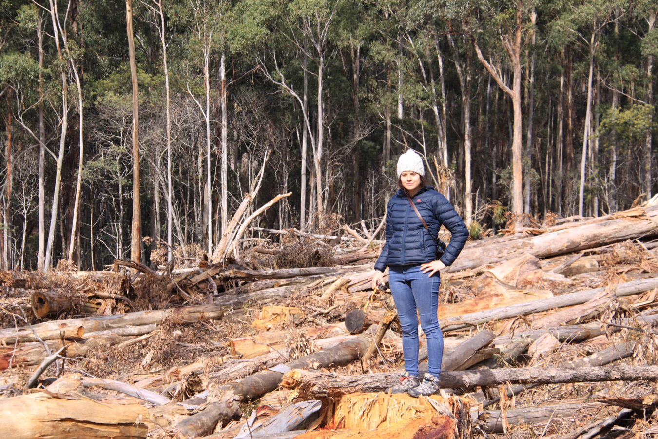 Mt Cole: Where have all the flowers gone? - Victorian National Parks ...