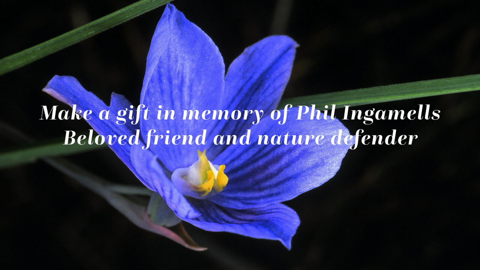 Vale Phil Ingamells - Victorian National Parks AssociationVictorian ...