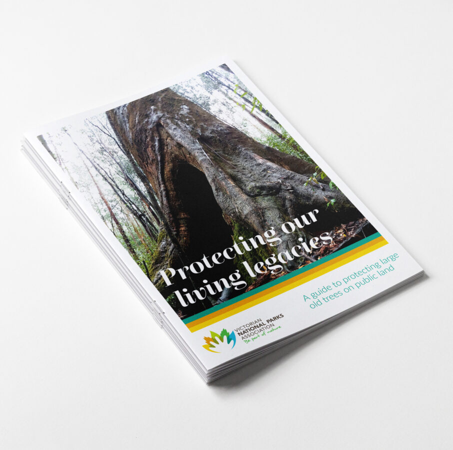 Our big old trees - Victorian National Parks AssociationVictorian ...
