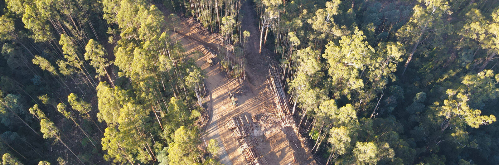 Private land native forest logging in Yarra Ranges Shire, Wurundjeri ...