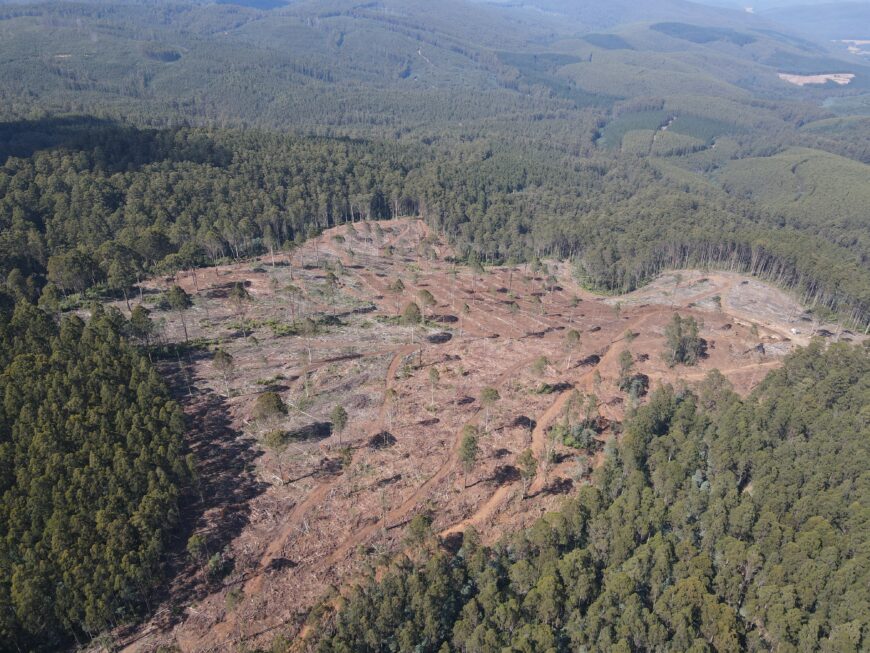 Exposed: native forest logging shifts from public to private land ...
