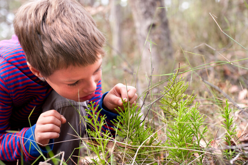 Premier urged to deliver promised parks to benefit nature and ...